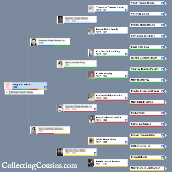 Family Tree Maker 2017: Color Coding - Collecting Cousins